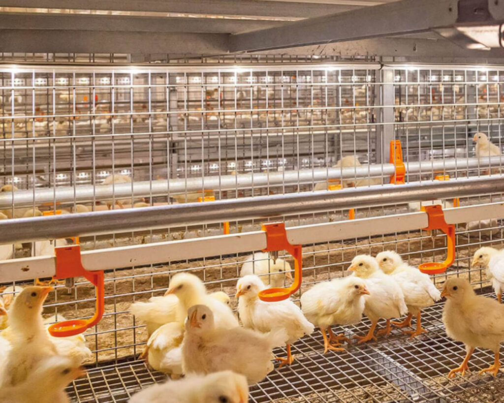 LED FARM & AGRICULTURE LIGHTING – Litho Circuits